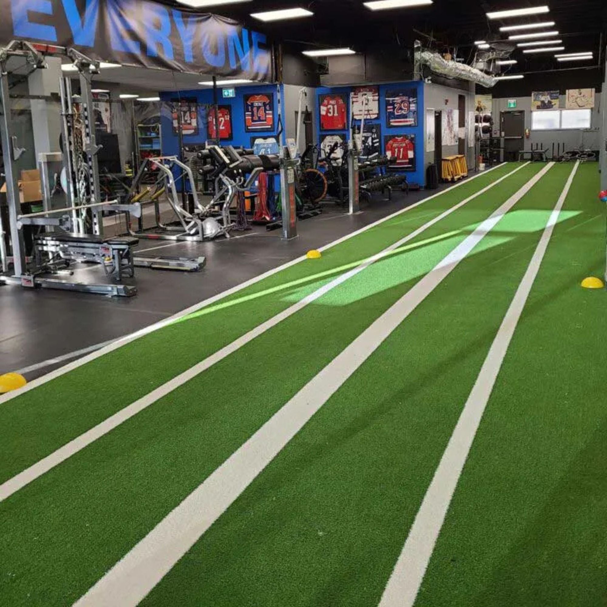 Foam Backed Artificial Gym Turf for Fitness & Sports Training - Canada Mats